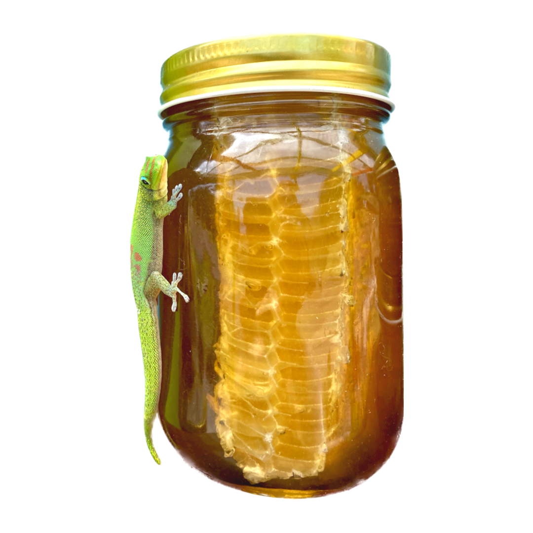Mala Honey Botanicals | Honey Based Skincare & Raw Honey Infusions
